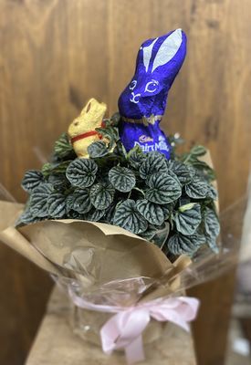 Starcut Flowers