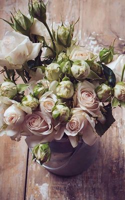 Starcut Flowers