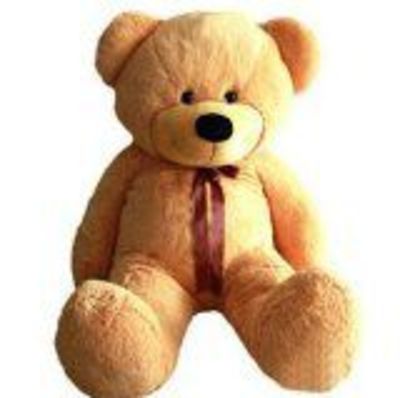 large teddy